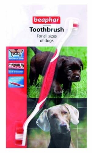 Double End Tooth Descaler - Pet Megastore